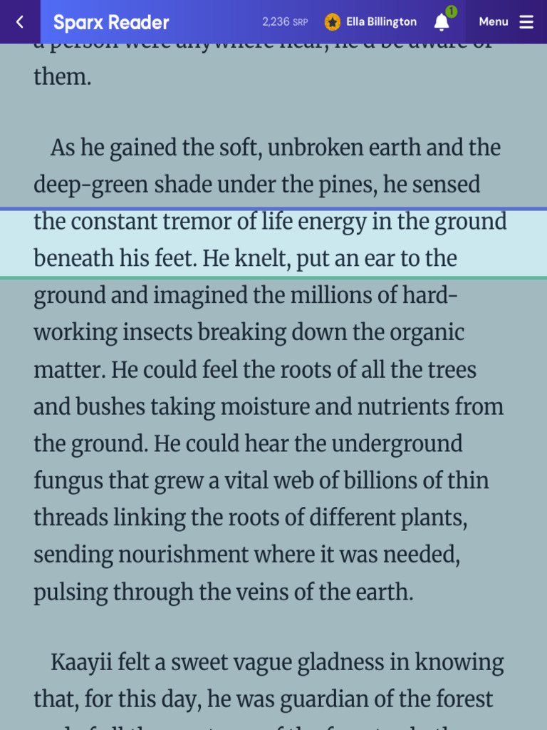 Bigfoot Mountain - Sparx Reader | PDF