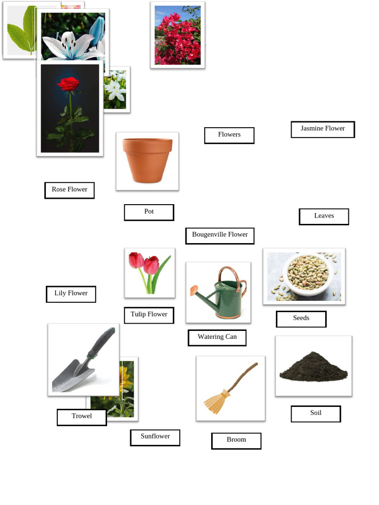 Gardening Vocabulary Guide | PDF