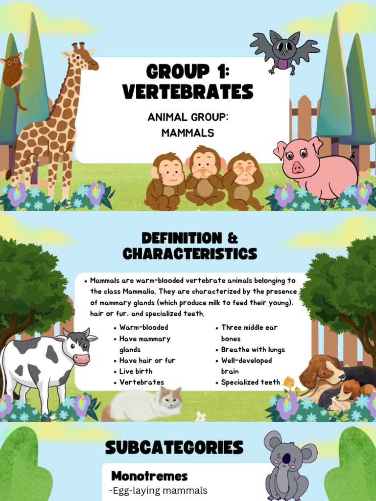 Mammals: Characteristics and Types | PDF