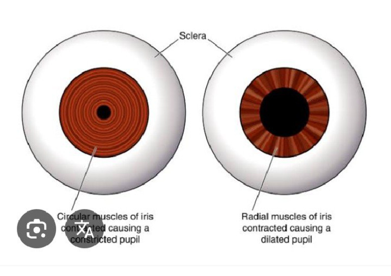 Image To PDF 20250910 15.59.34 | PDF