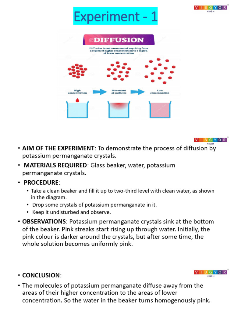 Diffusion and Osmosis Experiments Guide | PDF | Osmosis | Water