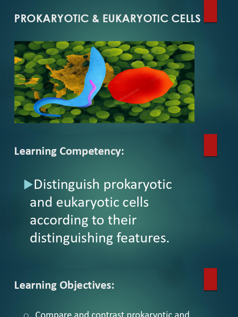 DNA in Prokaryotic vs Eukaryotic Cells | PDF | Prokaryote | Cell (Biology)