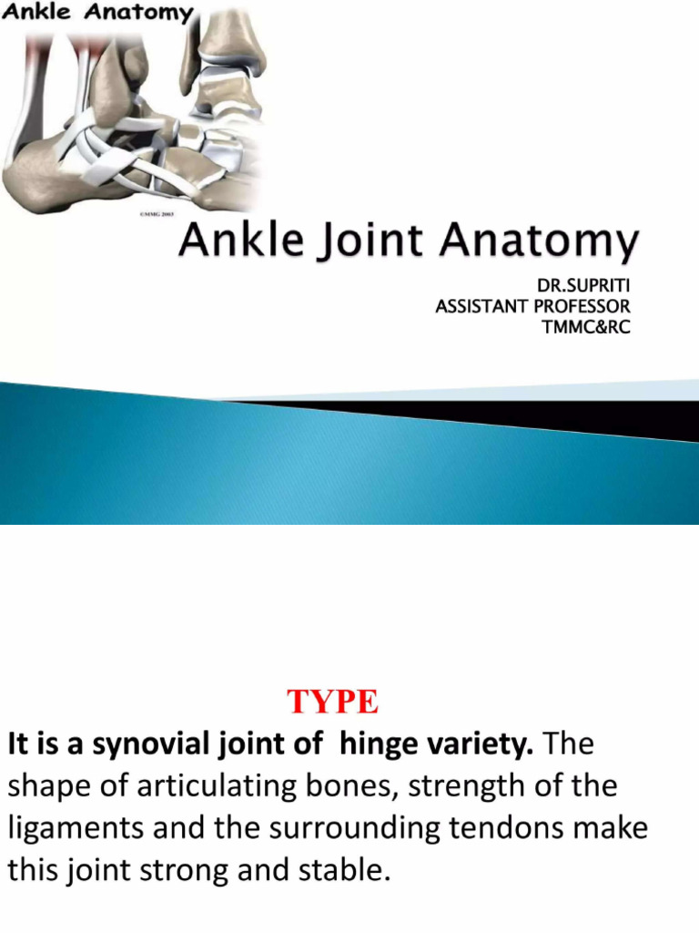 Ankle Joint Anatomy | PDF