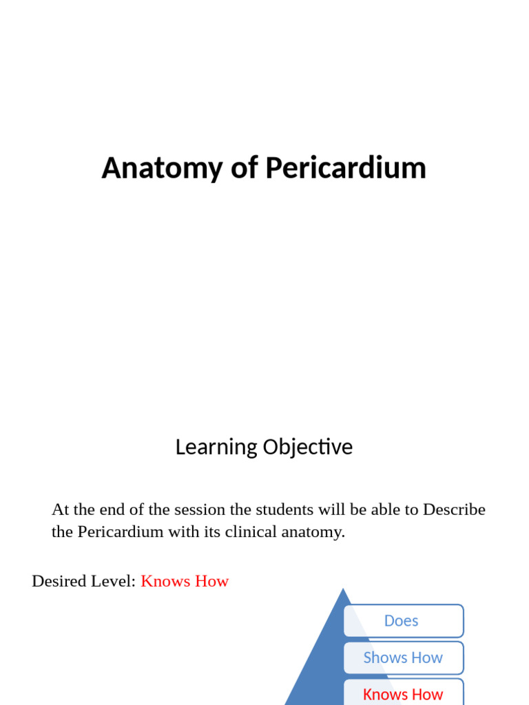 CL - Ana.pericardium - Heart 8 | PDF | Heart Valve | Heart