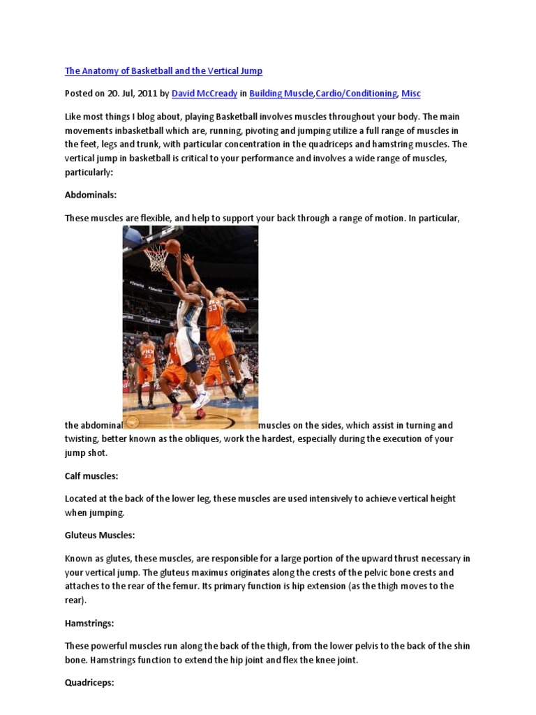 The Anatomy of Basketball and The Vertical Jump | PDF | Knee | Human Leg