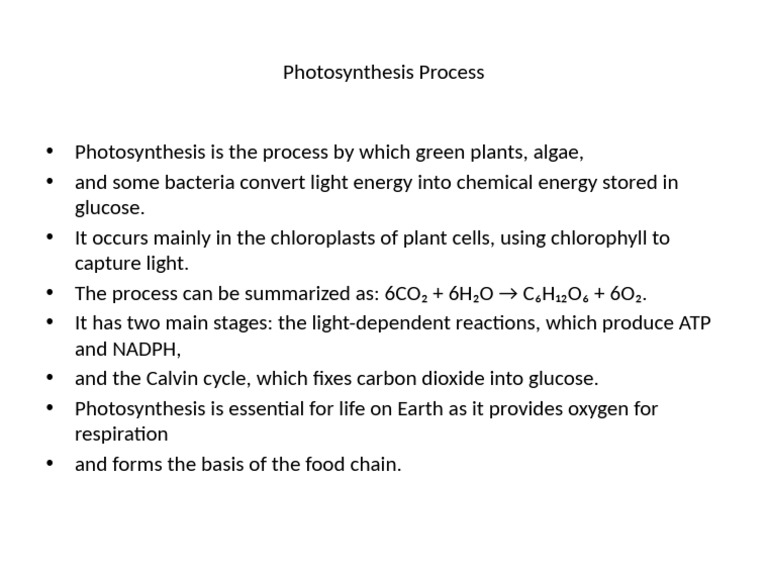 Photosynthesis Process | PDF