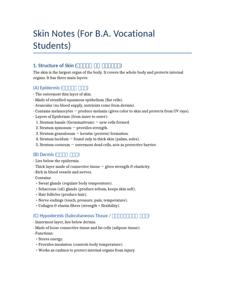 Skin Structure and Functions Overview | PDF