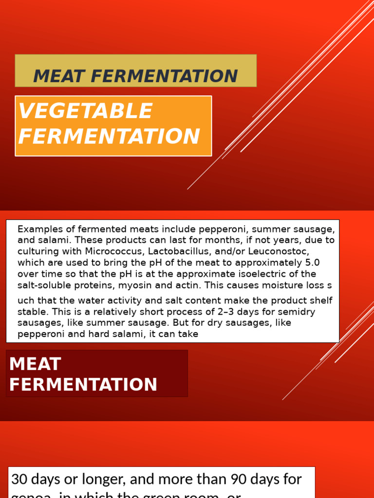Meat Fermentation and VEGETABLE | PDF