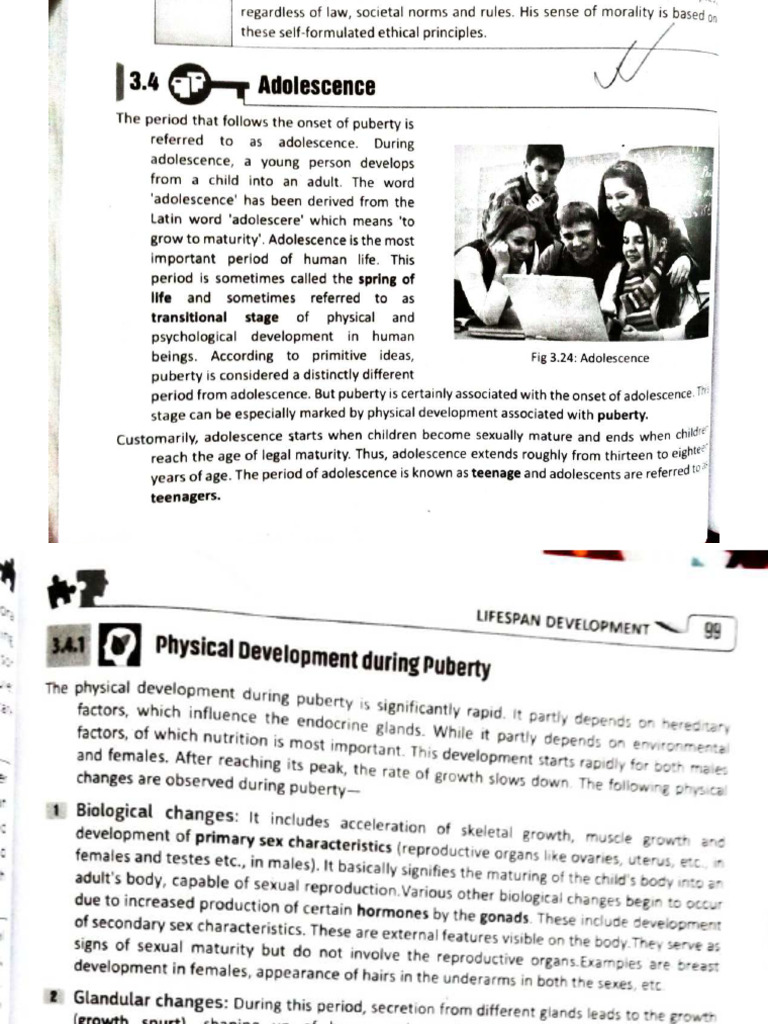 Lifespan Development | PDF