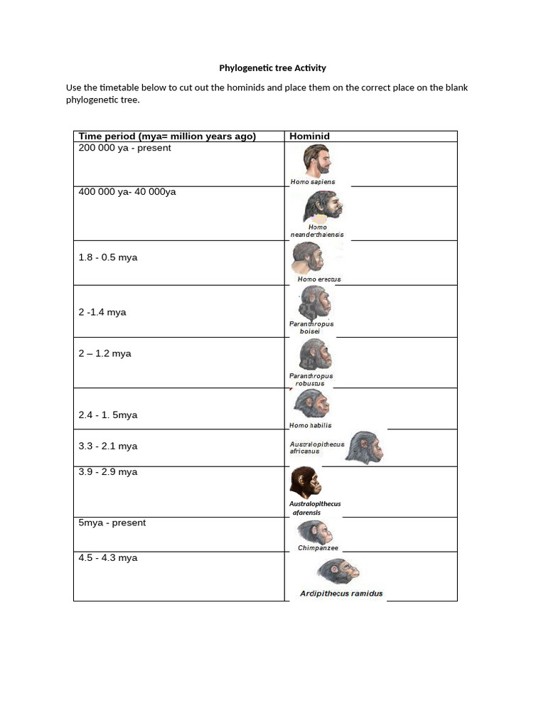 Phylogenetic Tree Activity | PDF