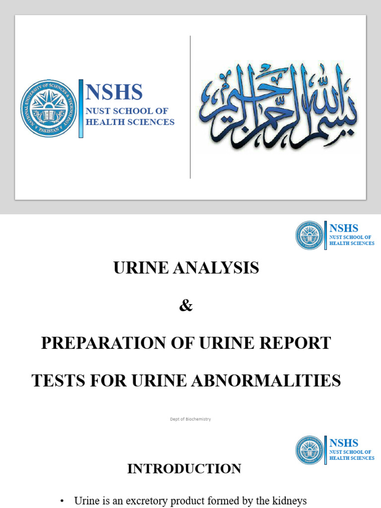 Urine Analysis and Report Preparation Guide | PDF | Urine | Kidney