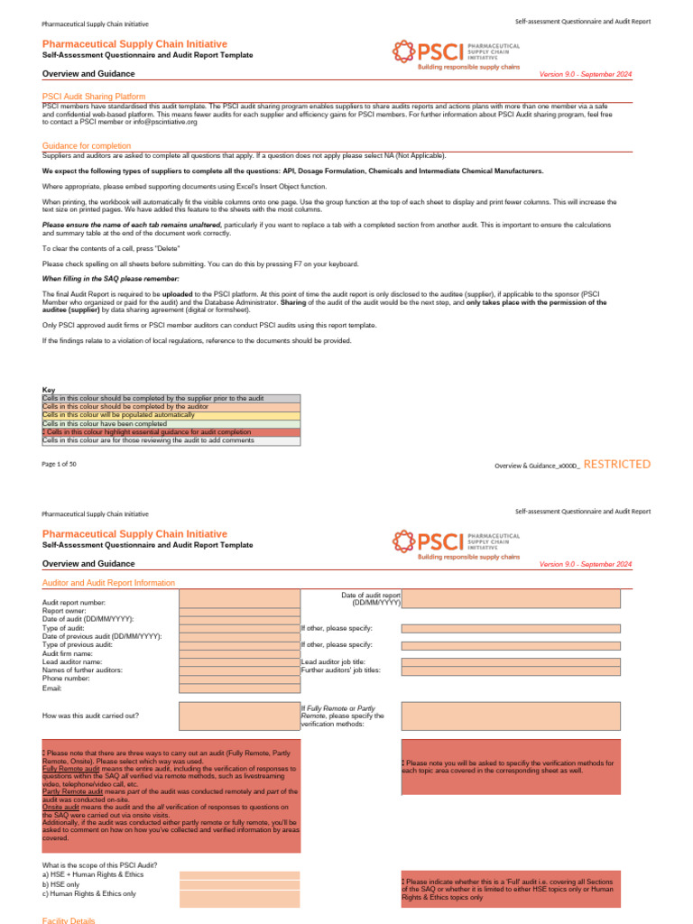 SAQ & Audit Report Template (Full) (Excel Version).xlsx | PDF ...