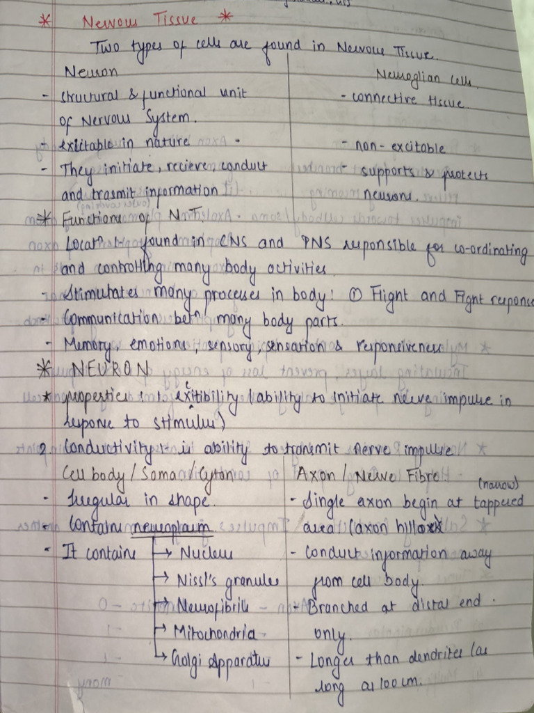 Nervous Tissue | PDF