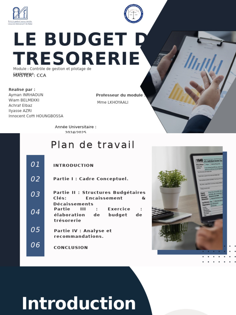Budget de Tresorerie | PDF | Budget | Trésor