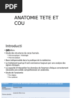 Anatomie et Fractures du Rocher | PDF | Tête et cou chez l'humain ...