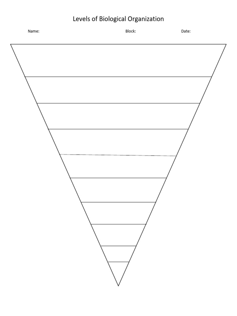 Levels of Biological Organization | PDF