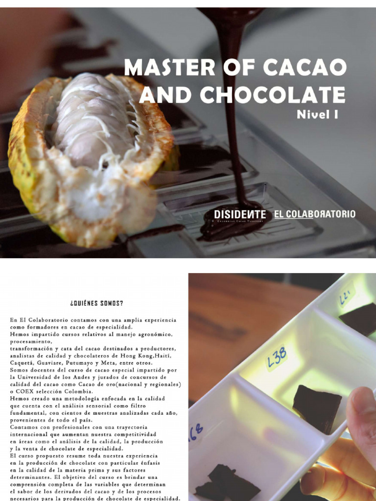 Master of Cacao and Chocolate Nivel 1 - Cacao Disidente | PDF