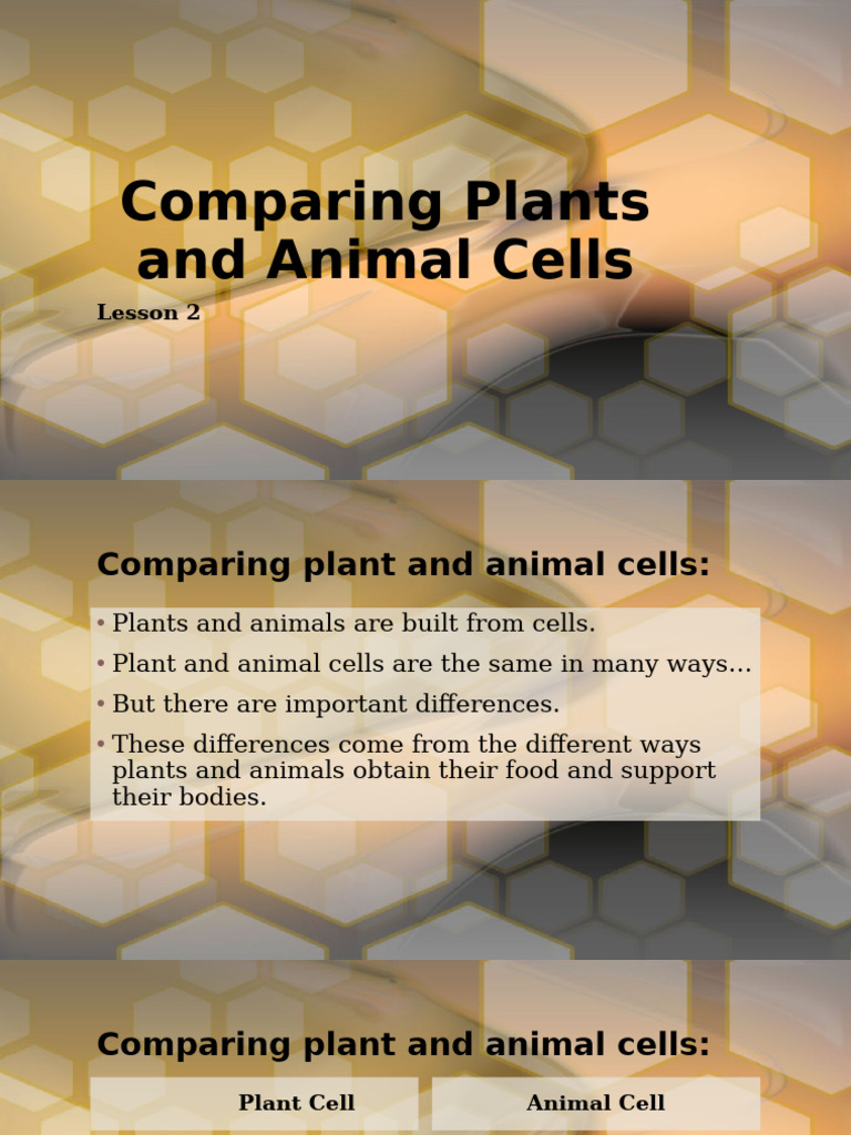 Comparing Plant and Animal Cells | PDF