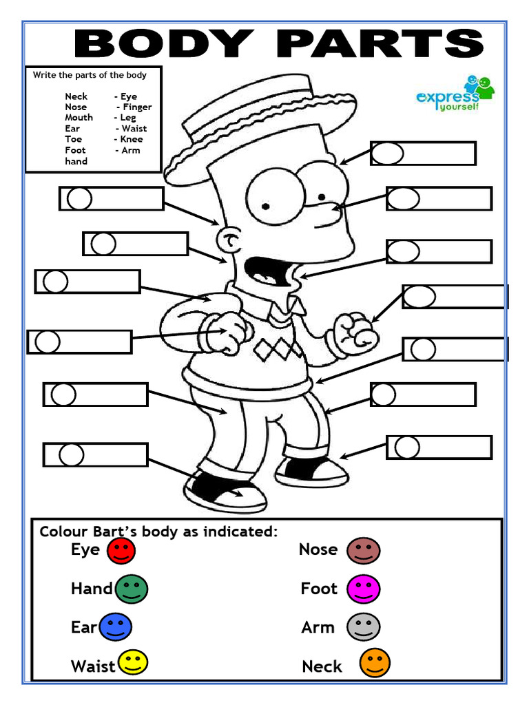 Body Parts Coloring Guide | PDF