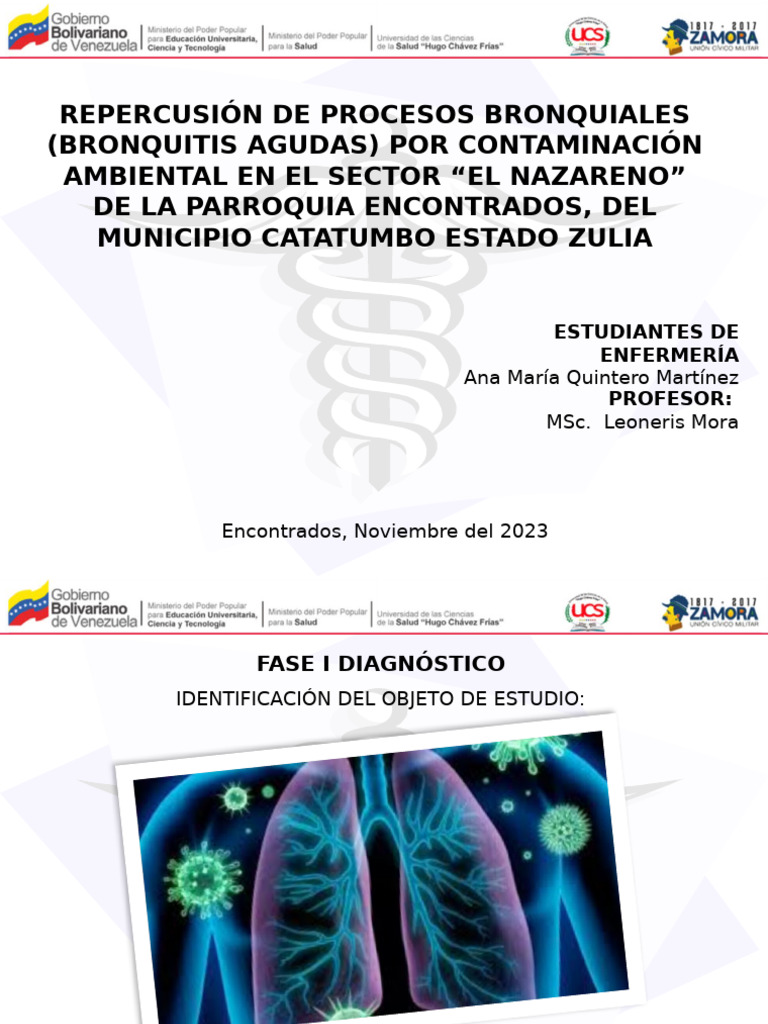 Ana Quintero - Bronquitis | PDF