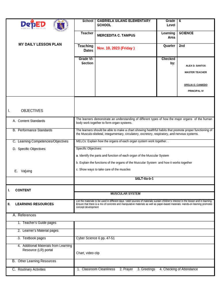 Grade 6 Science Lesson Plan: Muscular System | PDF