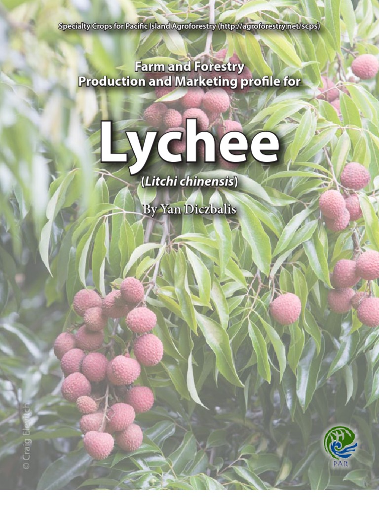 Lychee Specialty Crop | Download Free PDF | Rain | Trees