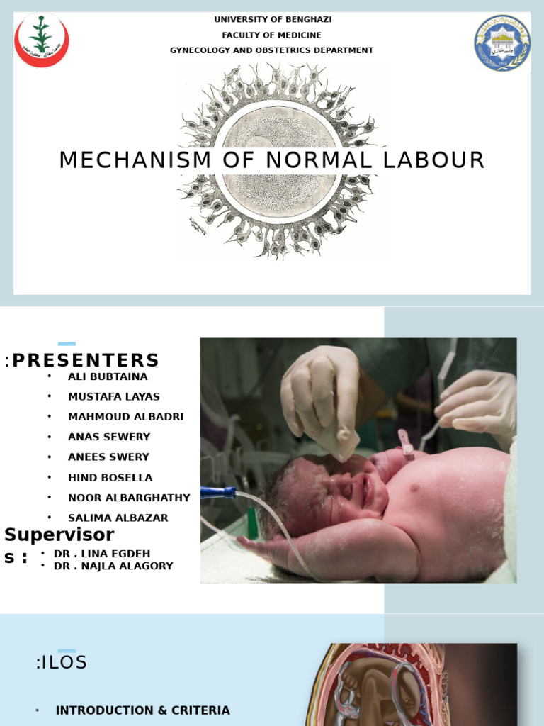 Mechanism of Normal Labour | PDF | Pelvis | Childbirth