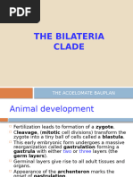Types of Cercariae with Examples | PDF | Zoology