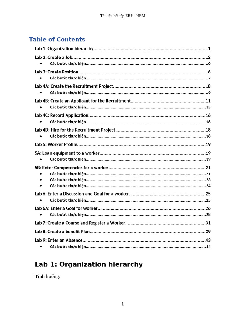 Labs HRM | PDF