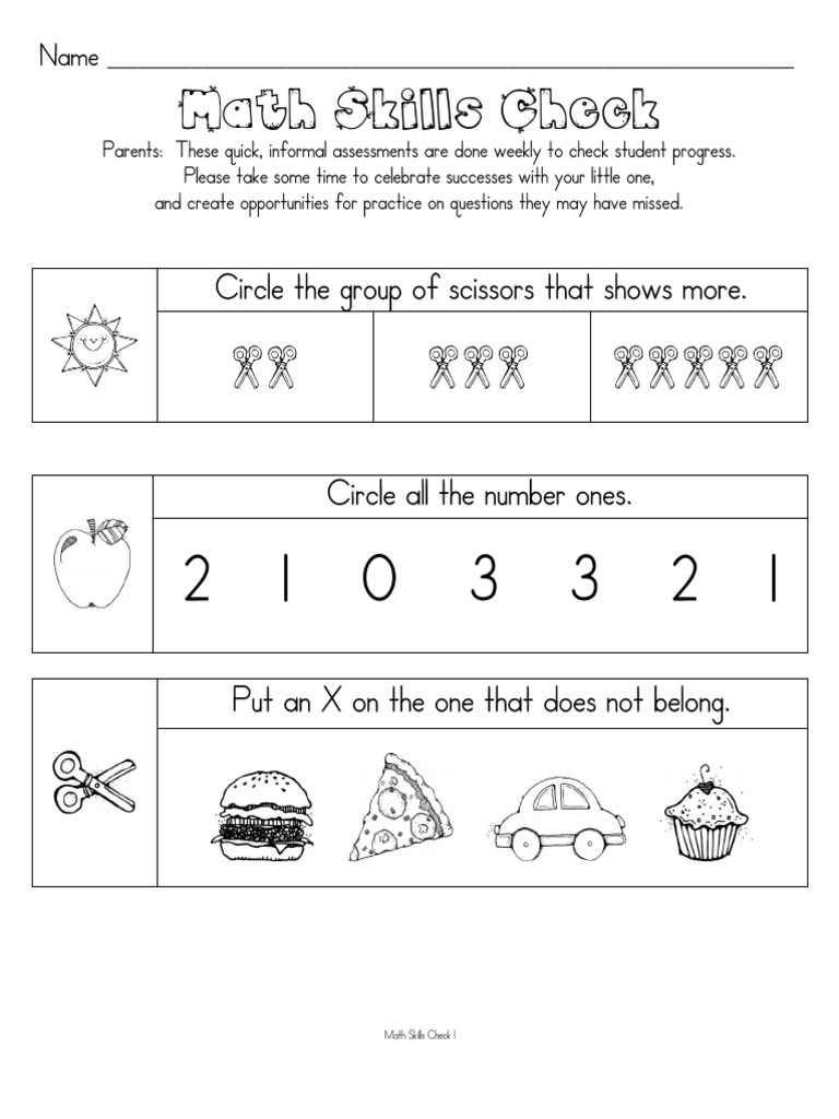 Math Skills Checks | PDF