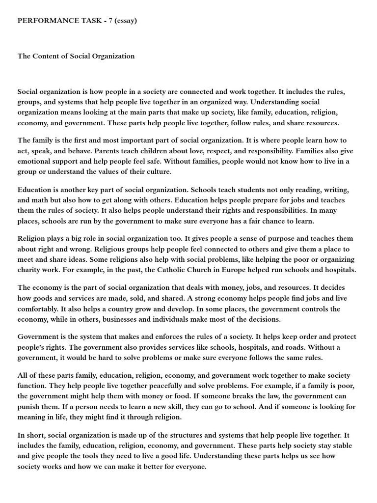 Understanding Social Organization Components | PDF