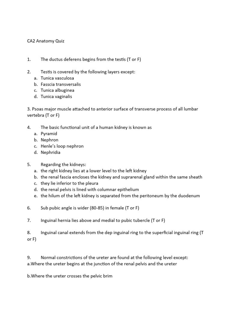 Anatomy Quizzes 2 and 1 | PDF | Abdomen | Knee