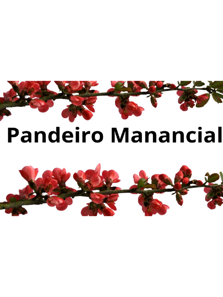 Gen 000 20062025 | PDF