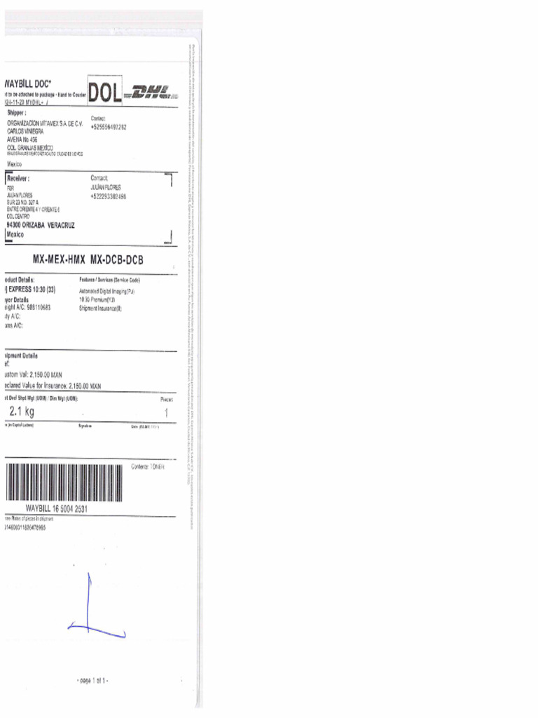 Guias DHL 20-11-2024 | PDF