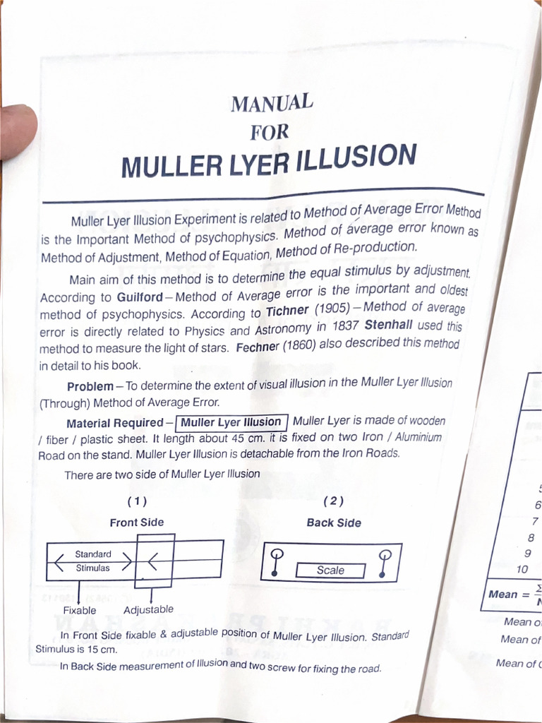 Muller Layer | PDF