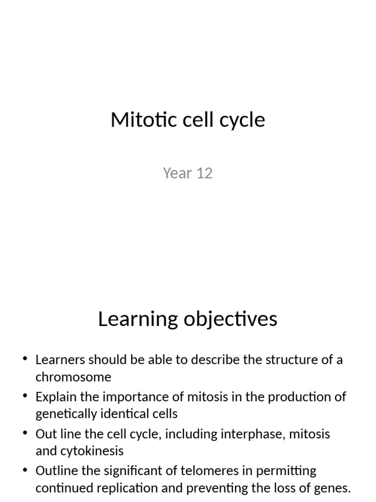 Mitotic Cell Cycle Form6 | PDF | Mitosis | Chromosome