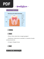 Morfologia dos Dentes Permanentes | PDF | Dente humano | Áreas da ...