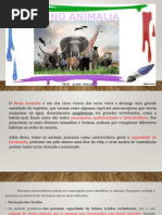 Filos Do Reino Animais Acelomados e Pseudocelomados | PDF | Zoologia ...