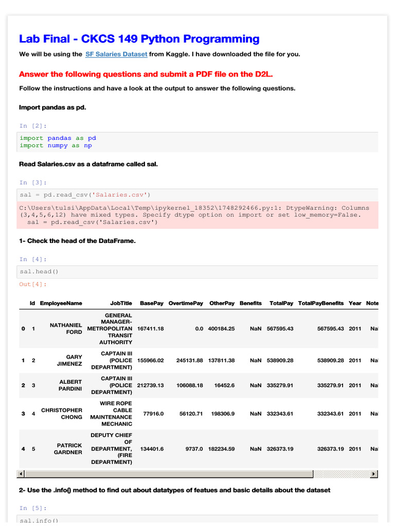 CKCS 149 Lab Final - S25Completed | PDF | Computer Data | Software Engineering