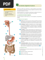 Instructivo Primaria 2025-2026 | PDF