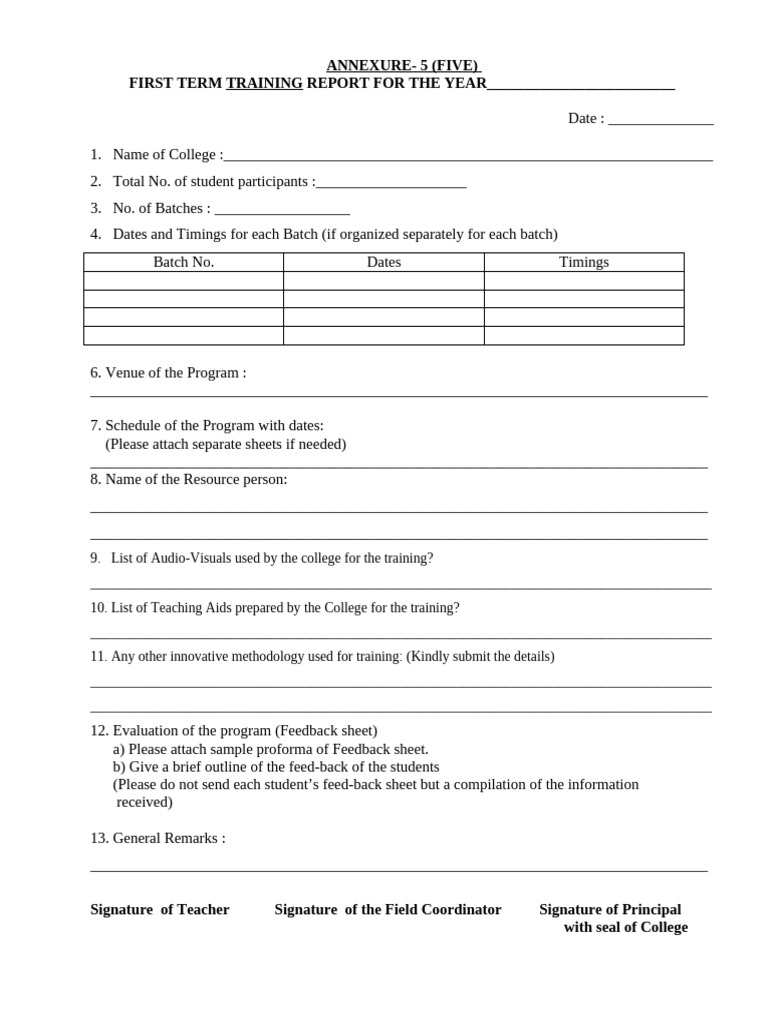 First Term Training Report Template | PDF