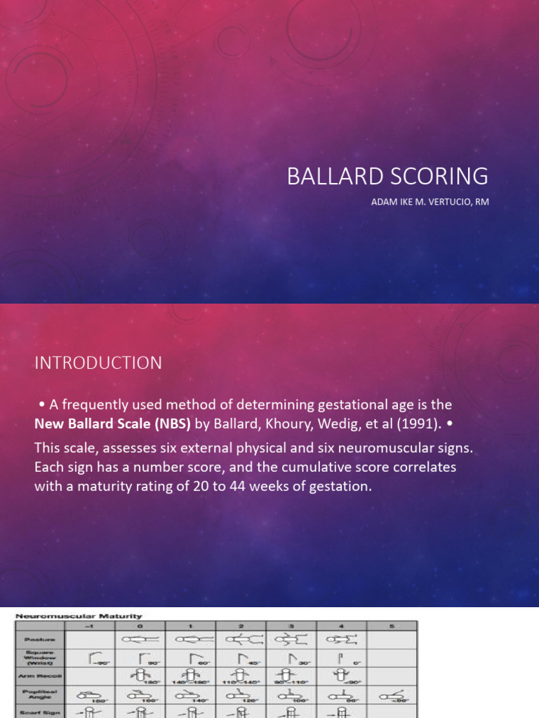 Ballard Scoring | PDF | Labia | Anatomical Terms Of Motion