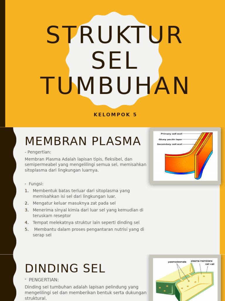 Kelompok 5 Struktur Sel Tumbuhan | PDF
