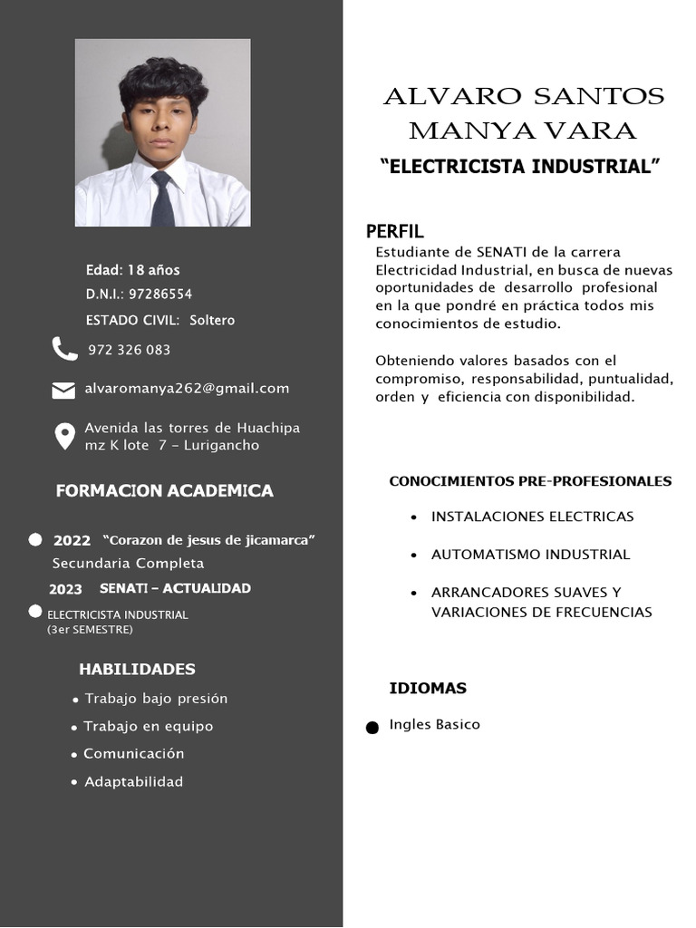 CV - Alvaro Manya | PDF