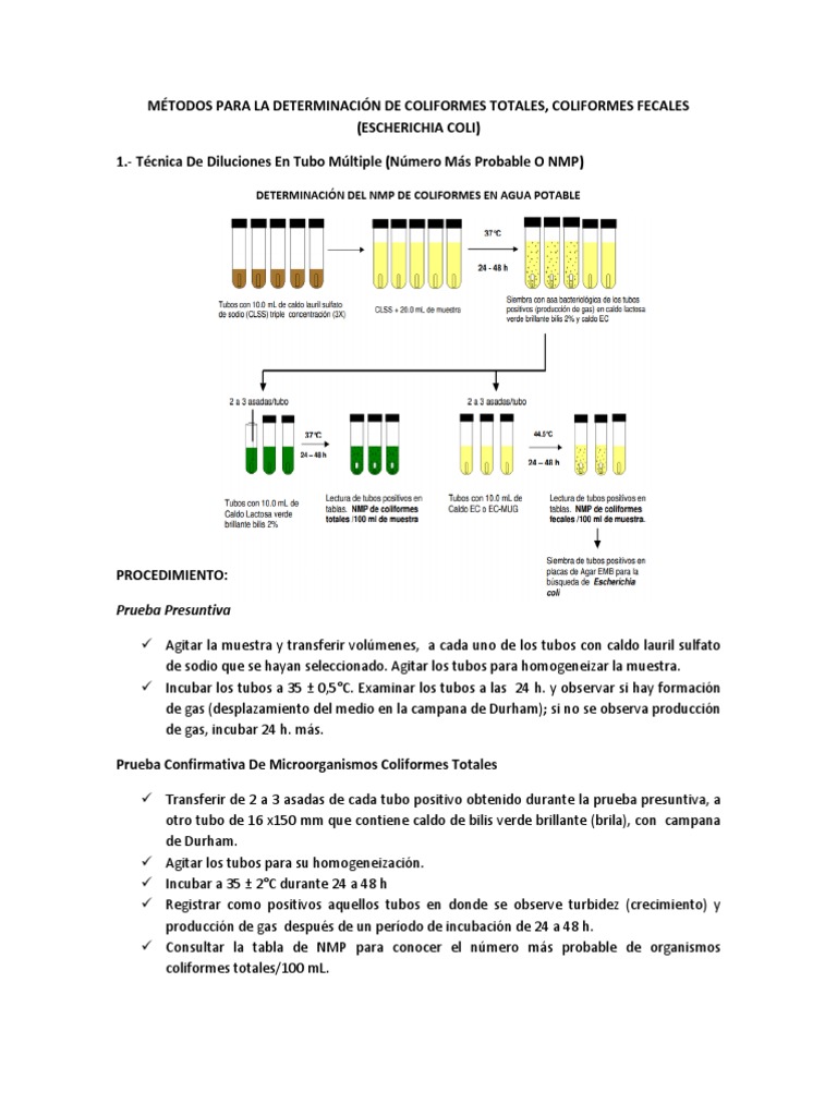 MÉTODOS PARA LA DETERMINACIÓN DE COLIFORMES TOTALES