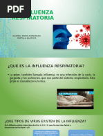 Infografía de La Influenza | PDF
