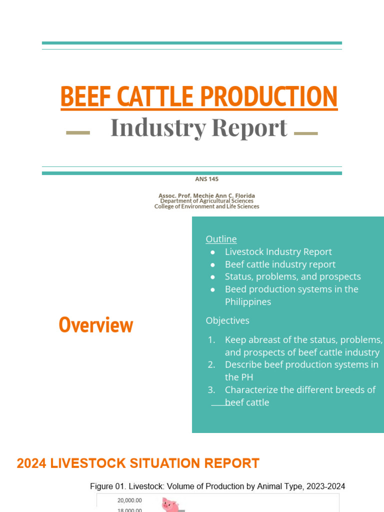 2024 Beef Cattle Industry Overview | PDF | Beef | Cattle