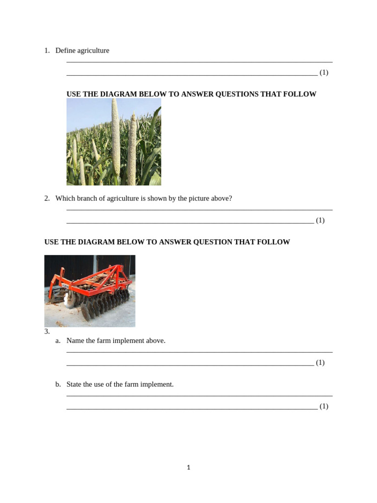 Term 3 Agriculture Notes for Standard 6 | PDF | Agriculture | Plants