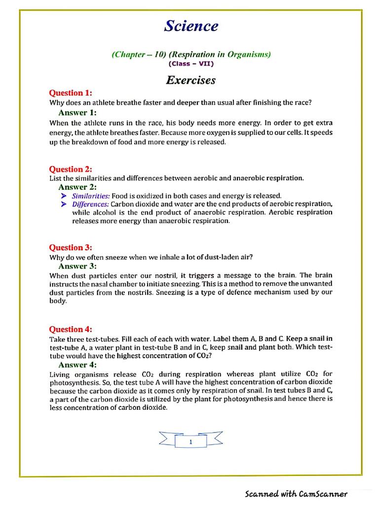 Respiration in Organism (Exercise Q&A) | PDF