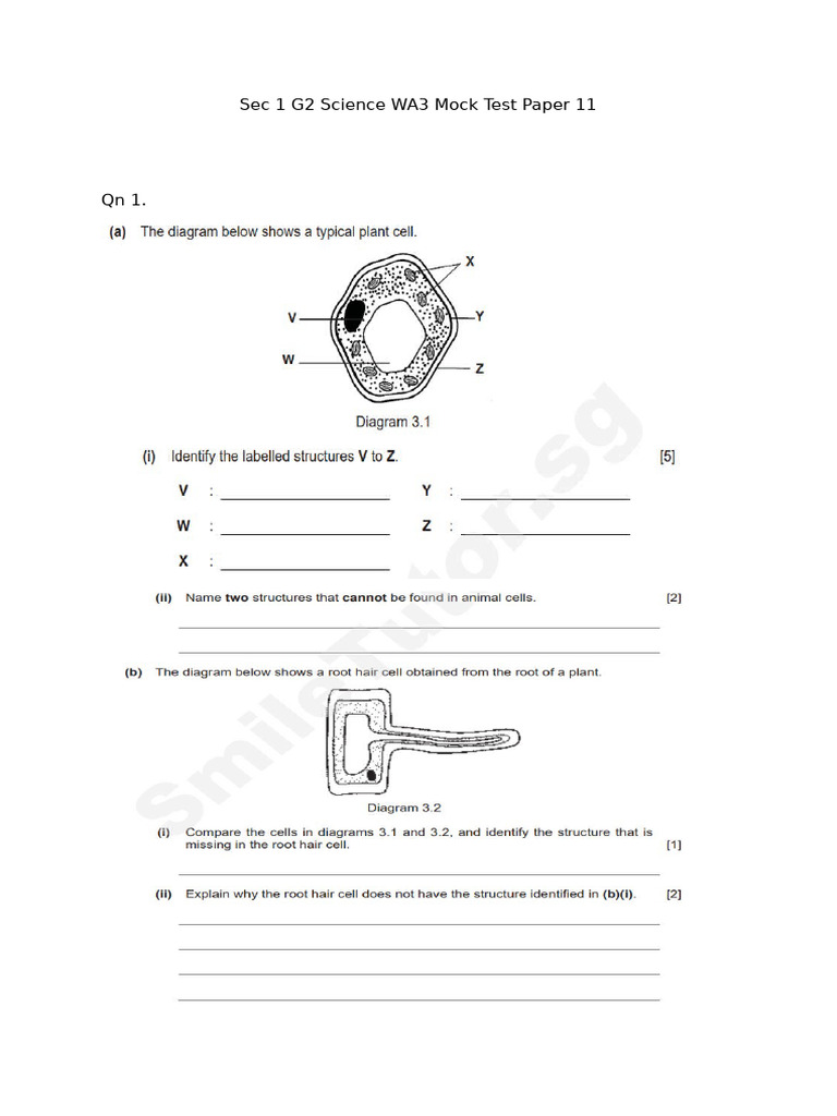 Sec 1 G2 Science WA3 Mock Test Paper 11 | PDF